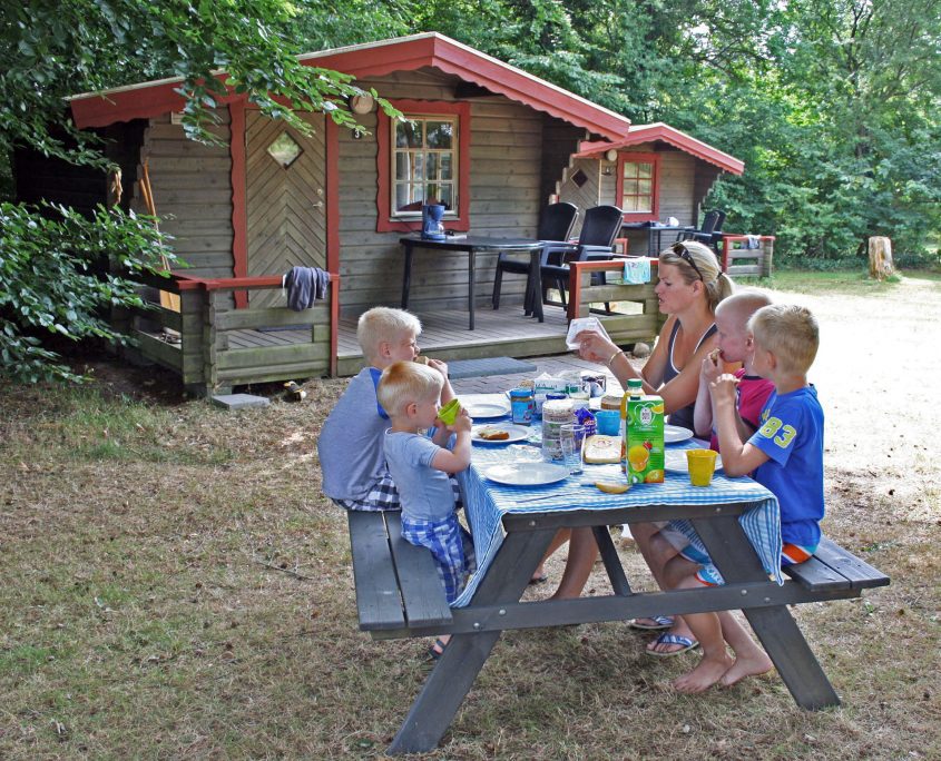 Velkommen til Skanderborg Sø Camping - En Smuk Naturcampingplads